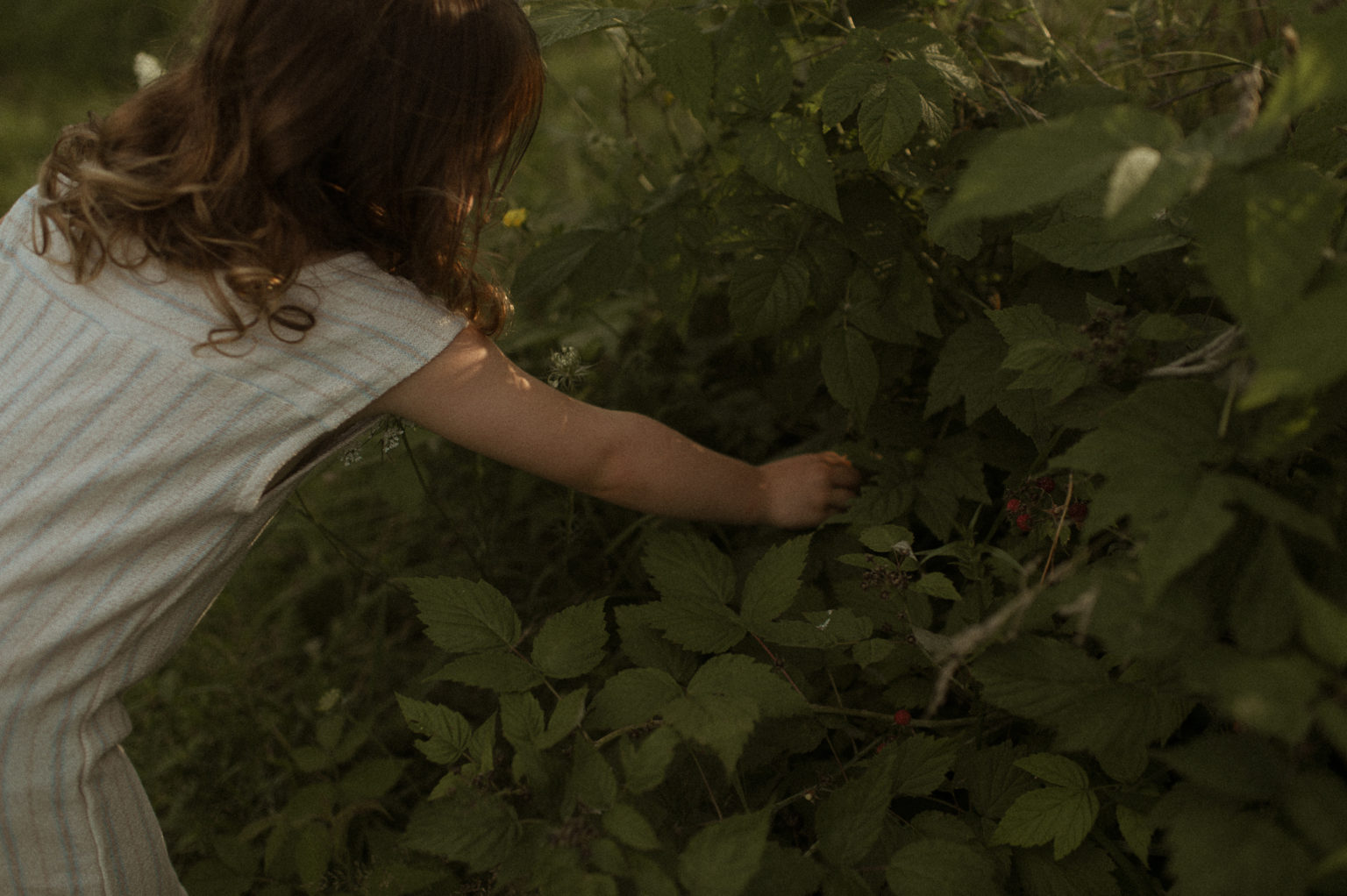 An unscripted family session - Jennifer Moher Photography