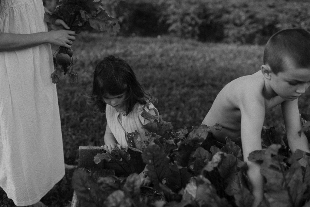 An unscripted family session - Jennifer Moher Photography